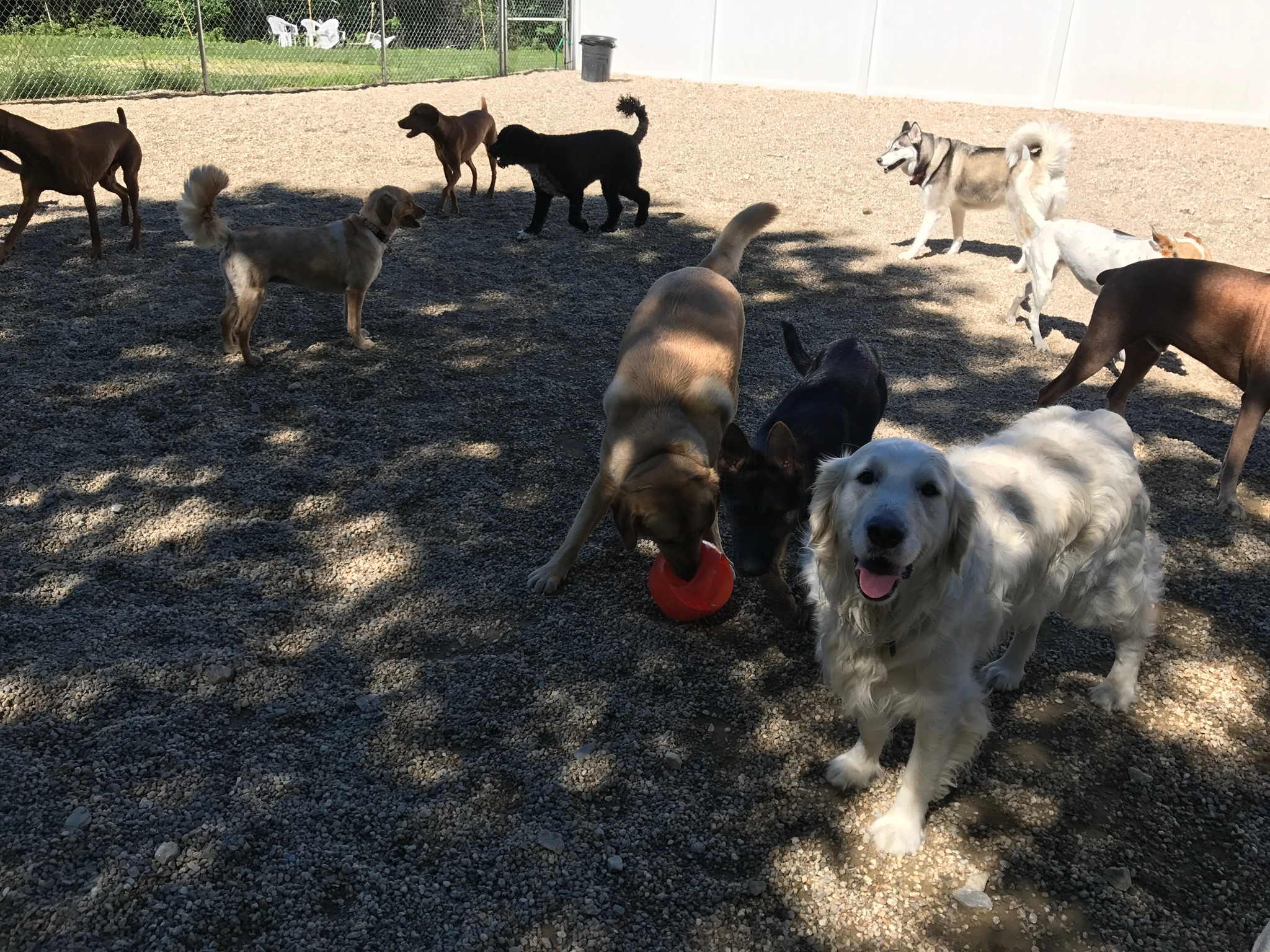 Photos – The Rustic Dog Co.