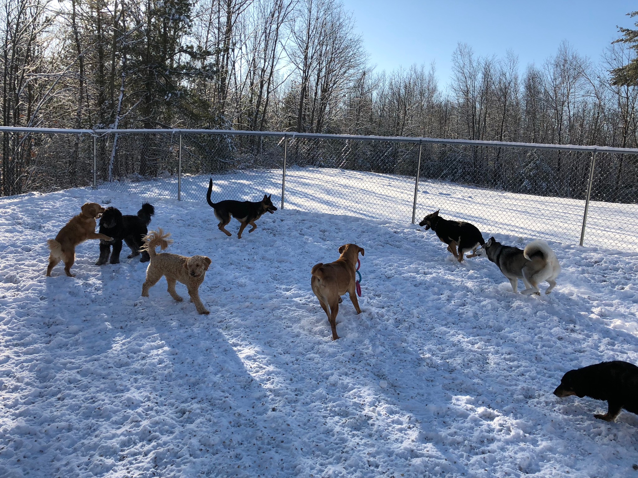 Reminders – The Rustic Dog Co.