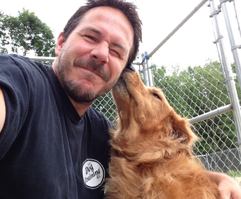 About – The Rustic Dog Co.